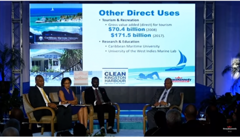 Professor Mona Webber Speaks About Cleaning Kingston Harbour | The ...