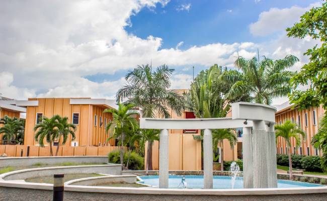 About MSBM | Mona School of Business & Management