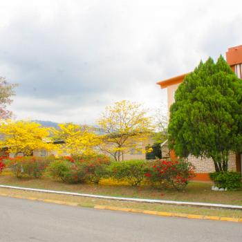 About MSBM | Mona School of Business & Management