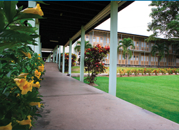 Student Accomodation | The University of the West Indies at Mona, Jamaica