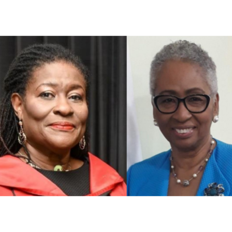Appointments at the PJ Patterson Institute for Africa-Caribbean ...