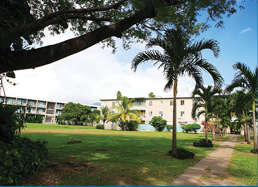 Student Accomodation | The University of the West Indies at Mona, Jamaica