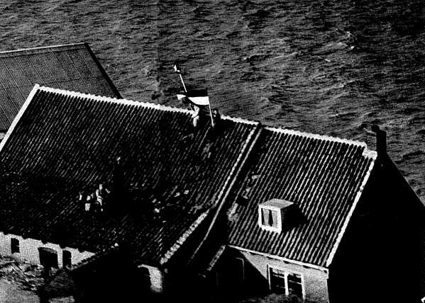 The 1953 Disaster in the Netherlands